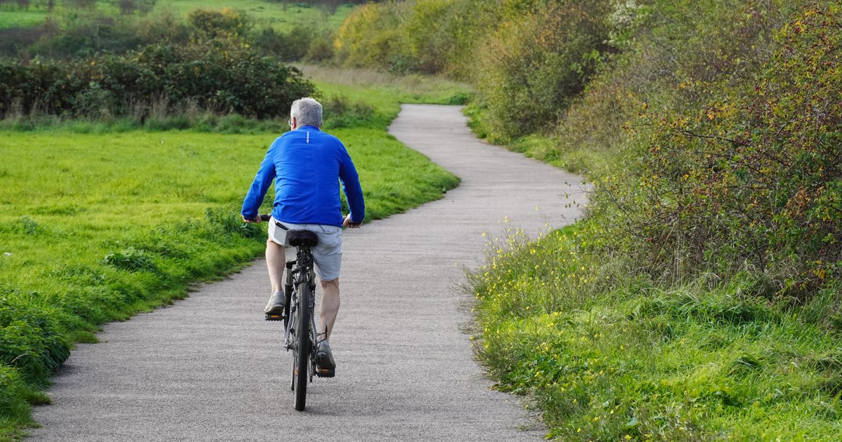 Daytime activities | Pairly